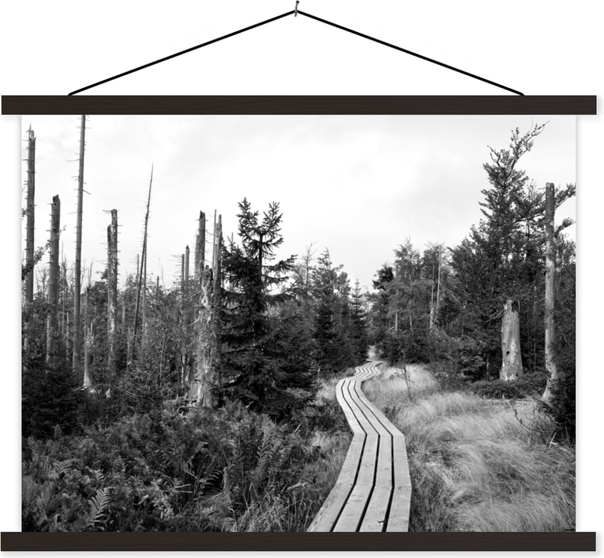 Houten loopbrug door de natuur in het Nationaal Park Bayerischer Wald ...