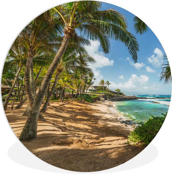 Wall Circle - Indoor Wall Circle - La plage exotique de Kuau Cove ...