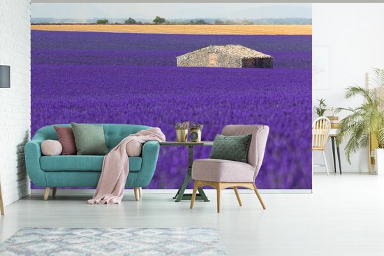 Behang - Fotobehang Groot lavendelveld met een huisje in het midden ...