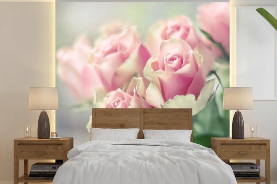 Behang - Fotobehang Roze rozen schijnen in het felle zonlicht - Breedte ...