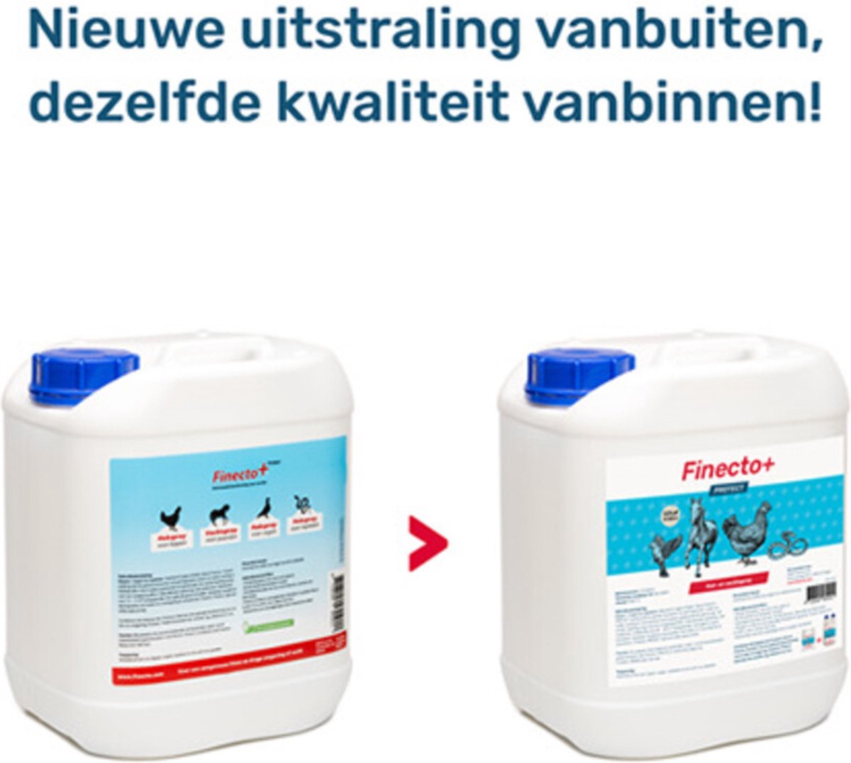 Finecto+ Protect Bloedluis Omgevingsspray Navulling 5 liter | bol.com