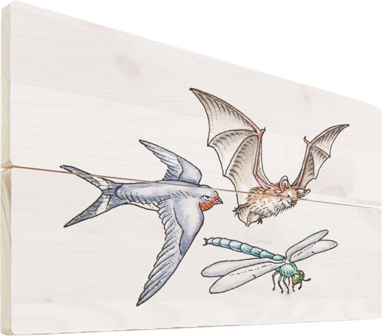 Dieren tekenings op hout - 60x40 - Aquarel tekening van een zwaluw een ...