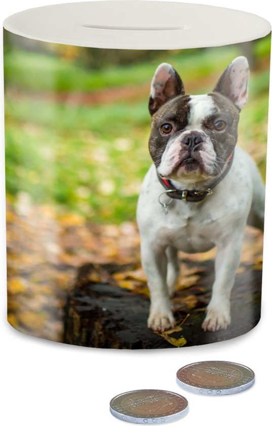Spaarpot - Spaarblik - Franse Bulldog - Herfst - Boomstam - Spaarpotten ...