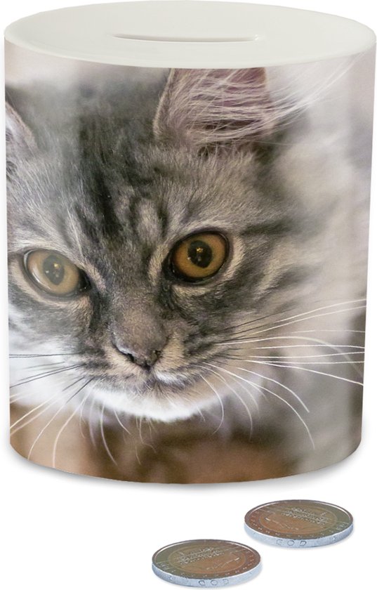 Spaarpot - Spaarblik - Kat - Krabpaal - Ogen - Spaarpotten ...