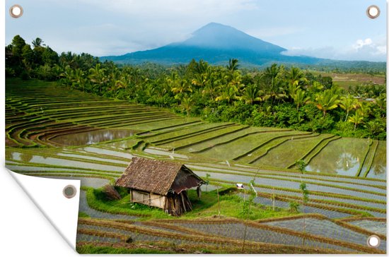 Décoration murale Image d'une cabane dans une rizière à Bali - 180x120 ...