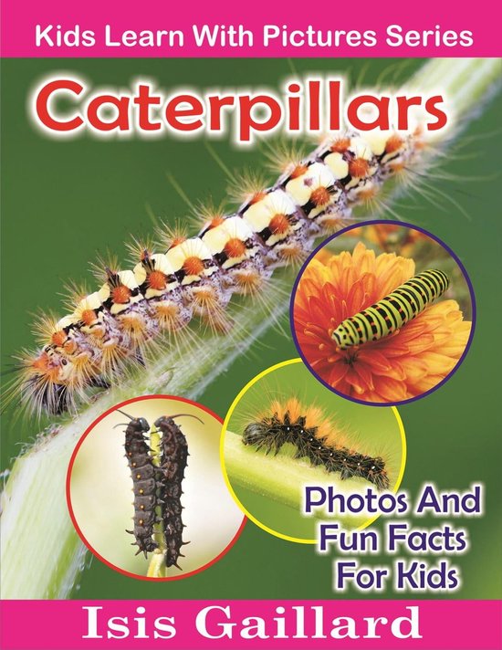 Kids Learn With Pictures 34 - Caterpillars Photos and Fun Facts for ...