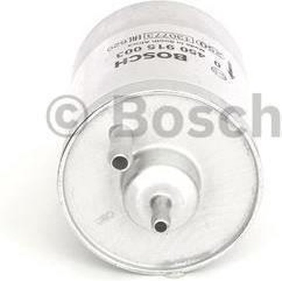 BOSCH Filters essence F5003 0450915003 | bol.com