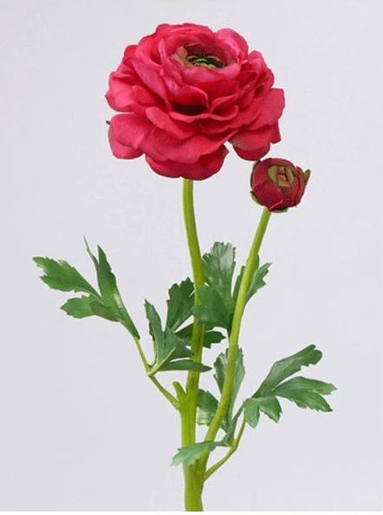 Ranonkel rood/roze 51 cm | bol.com