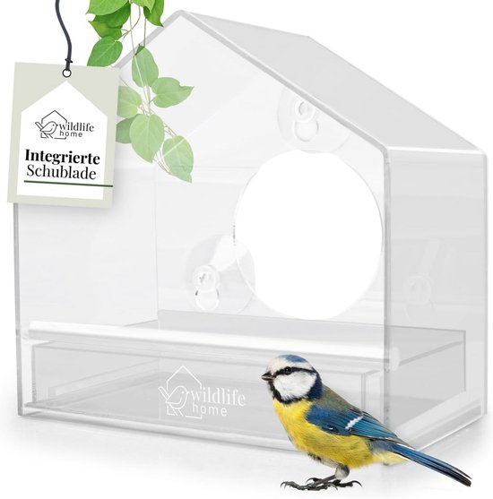 Transparant Vogelvoederhuis voor Wilde Vogels met Suction Cups en ...