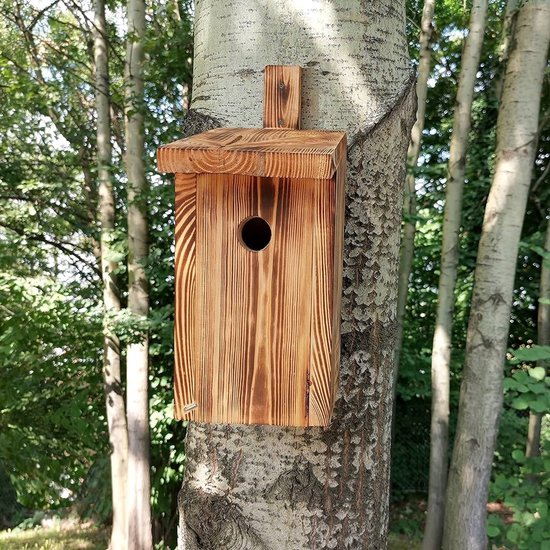 Nestkast koolmezen - hout | bol