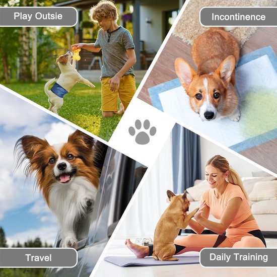 Wasbare Buikbanden voor Reuen - 3 Stuks Herbruikbare Hondenluiers XL | bol