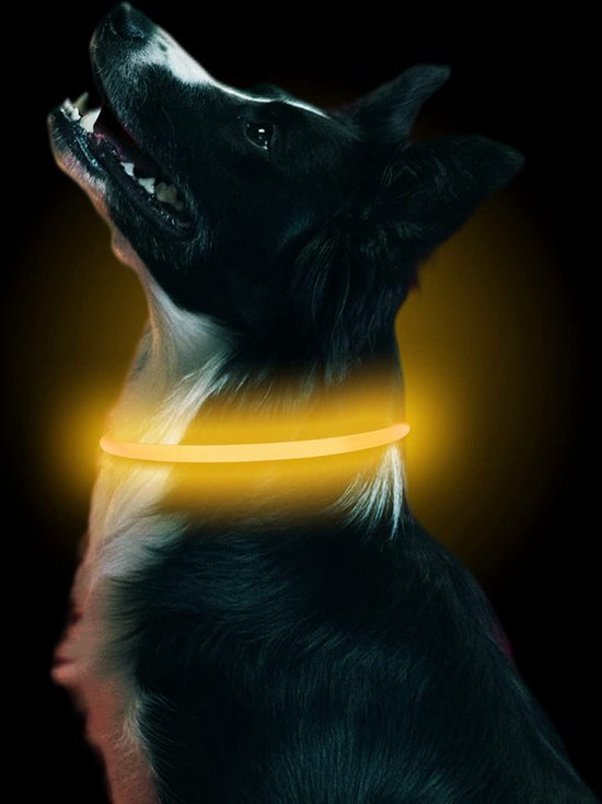 LED Halsband Hond - Lichtgevende Halsband Hond - Geel - XL - USB ...