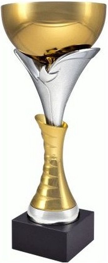 Trofee - beker - 30.5 cm - goud en zilver | bol