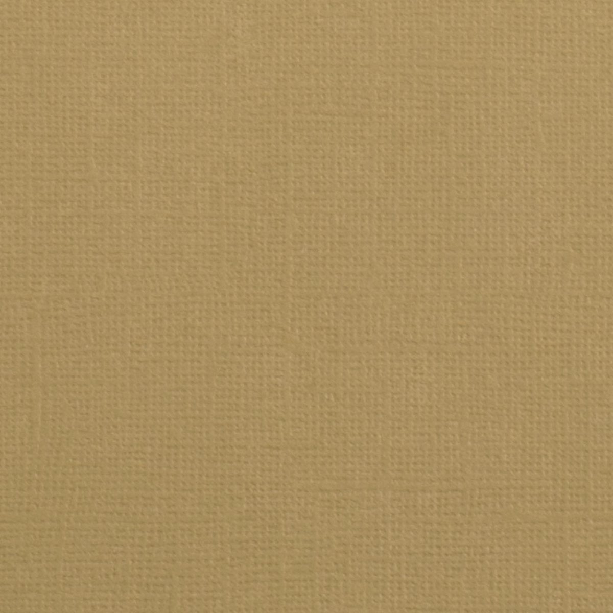 Florence Cardstock Papier Texture A4 Peanut | bol.com