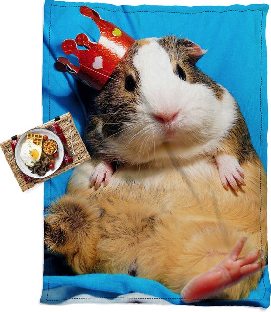 Waterdicht Picknickkleed - Geschikt als Strandlaken / Strandmat - Cavia ...