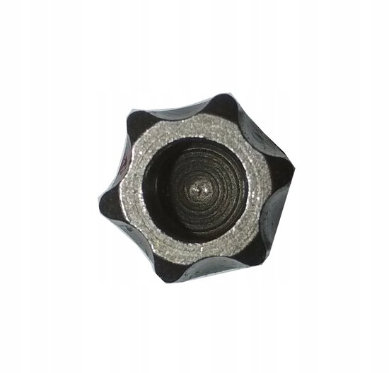 Richmann Bit Torx Security TR T20 met gat 30mm S2 Staal | bol