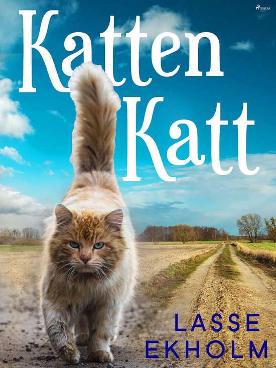 Katten Katt (ebook), Lasse Ekholm | 9788726690200 | Boeken | bol.com