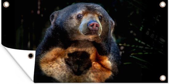 Schuttingposter Close-up van een Maleise beer - 200x100 cm - Tuindoek | bol