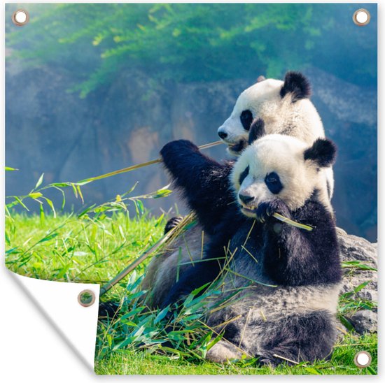 Tuinposters Panda - Bamboe - Gras - Dieren - 50x50 cm - Tuindoek ...