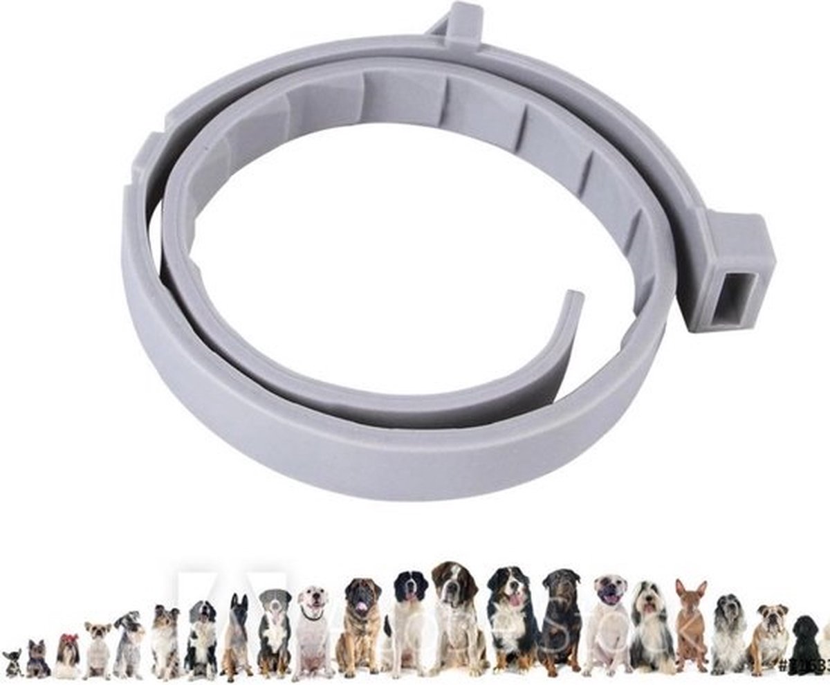 Vlooienband Hond | Vlooien | Luizen | Teken | Mijten | 8 maanden ...