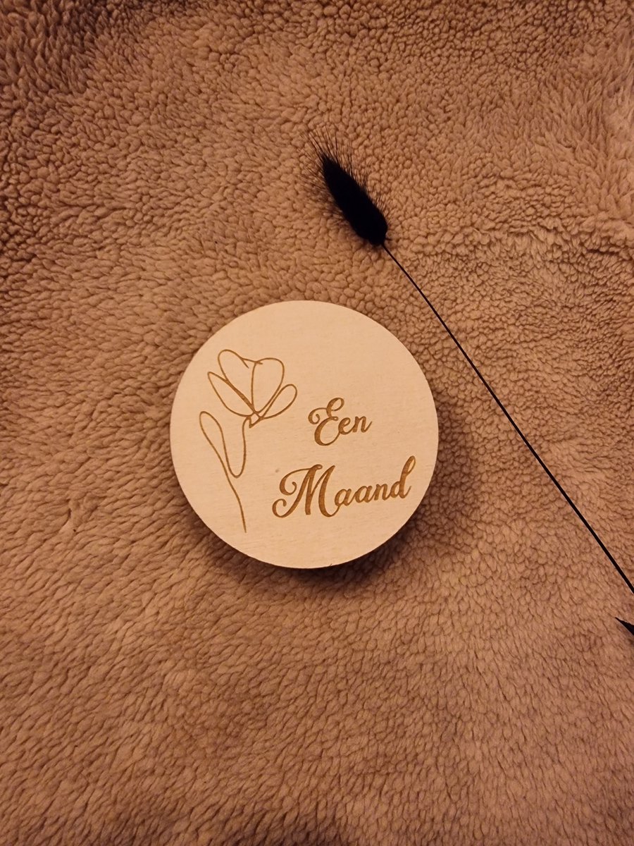 Mijlpaalkaarten - Mijlpaal schijven - Hout - 1 maand tm 1 jaar - Baby ...