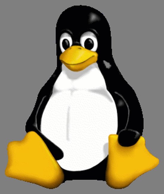 Linux Explained (ebook), Sebastien Bronchard | 9798223419624 | Boeken | bol.com
