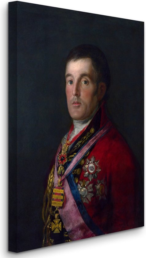 Francisco Goya - Portrait of the Duke of Wellington - Portret van de ...