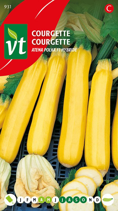 Courgette Geel Gold Rush F1 - Decoratieve Gele Courgette met ...