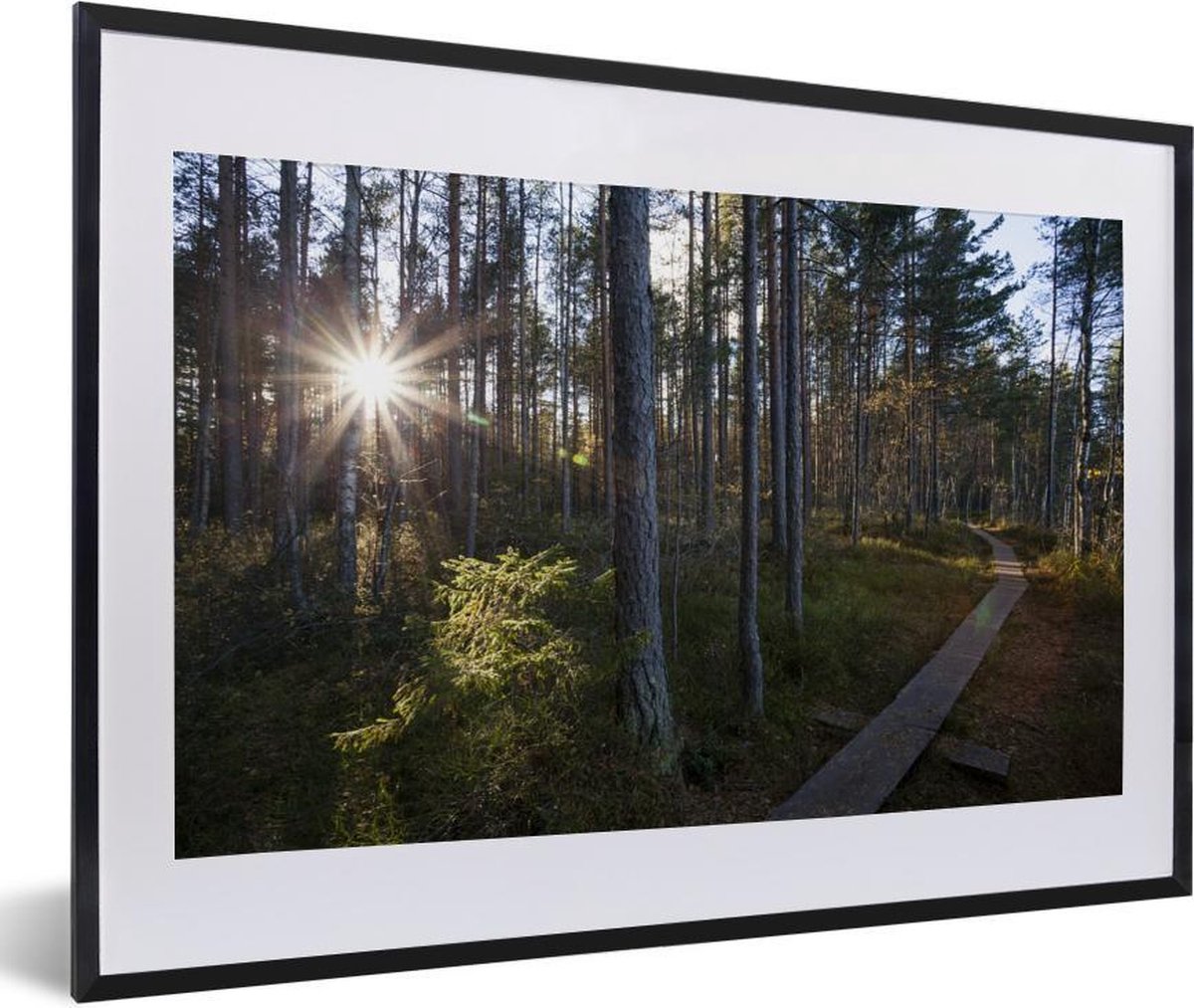 Fotolijst incl. Poster - Zonnestralen schijnen door de bomen in het ...