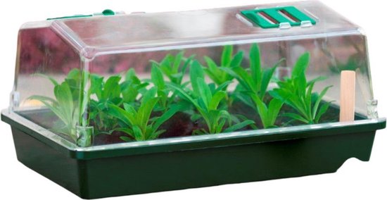 Nature - Mini-Kweekkas (met ventilatie) - H22 x 55 x 31cm - groen ...