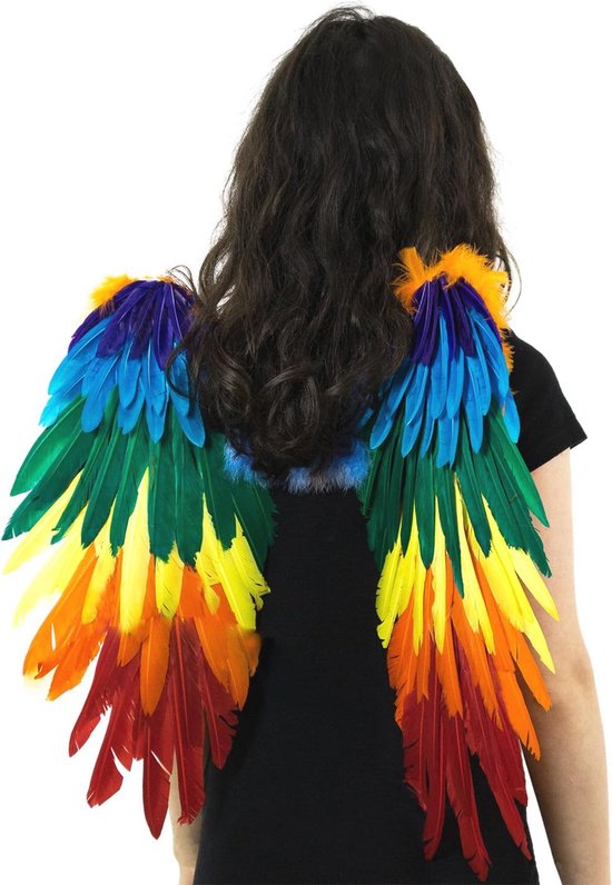Regenboog Vleugels voor Volwassenen - Echte Veren Vleugels voor ...