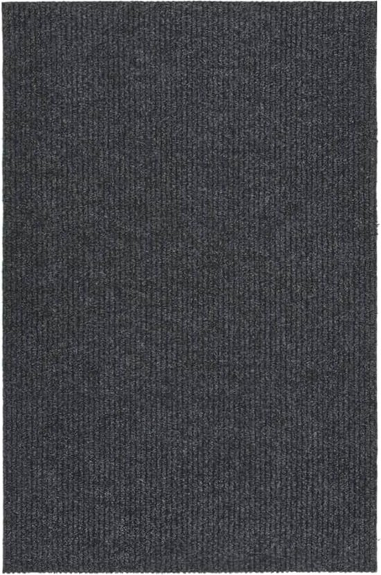 Droogloopmat 100x150 cm antracietkleurig voor entree en doorgangsruimte ...