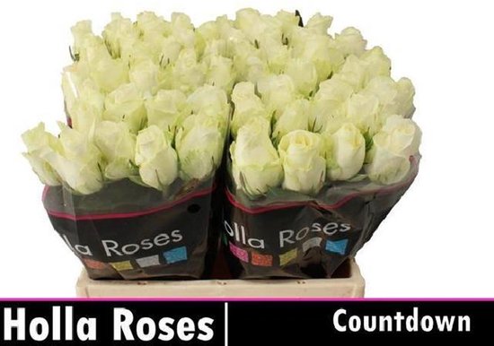 20x Rosa countdown 30cm | bol