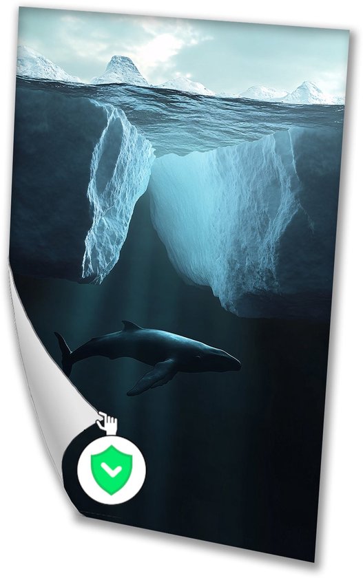 Walvis onder ijsberg - Onderwater muurdecoratie - Posters walvis ...