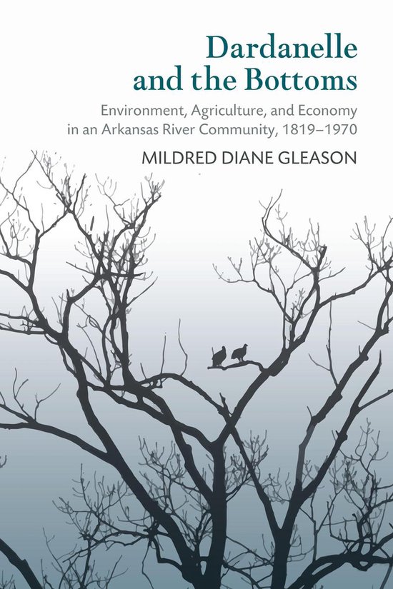 Dardanelle and the Bottoms (ebook), Mildred D. Gleason | 9781610756143 ...