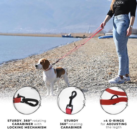 Hondenriem 2 m - Trainingslijn voor kleine, middelgrote en grote honden ...