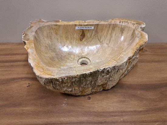 Waskom van versteend hout - 55x36x15cm - FL22793 | bol