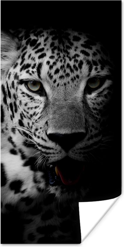 Poster Dieren - Zwart - Wit - Panter - Portret - 75x150 cm | bol