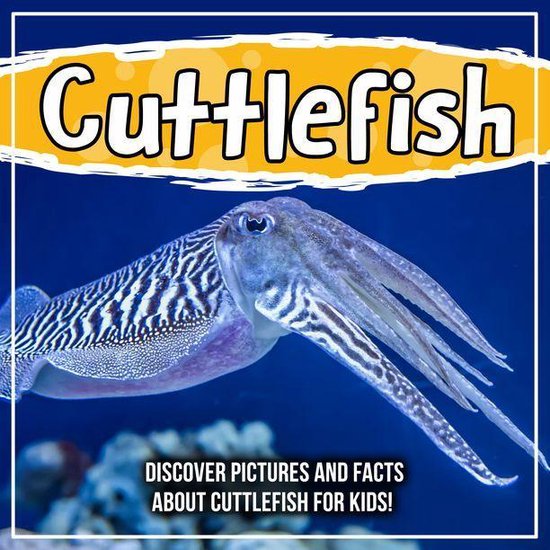 Cuttlefish: Discover Pictures and Facts About Cuttlefish For Kids ...