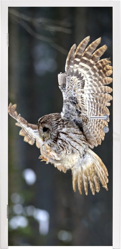 Deursticker Vliegende bosuil in een bos - 90x215 cm - Deurposter | bol.com