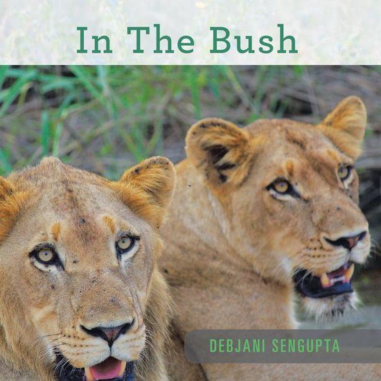 In the Bush (ebook), Debjani Sengupta | 9781728394305 | Boeken | bol.com
