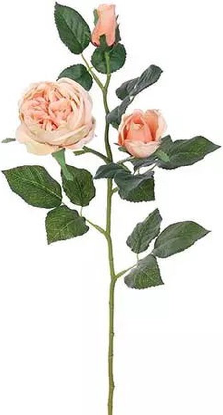 Engelse Roos Tak Zalm Roze 64 cm kunstplant | bol
