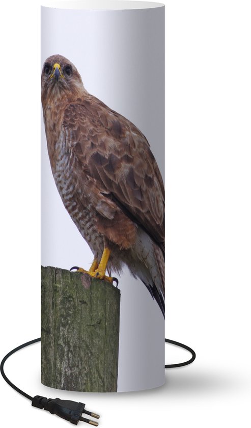 Lampe Buzzard - Une buse regarde le champ depuis un haut poteau en ...
