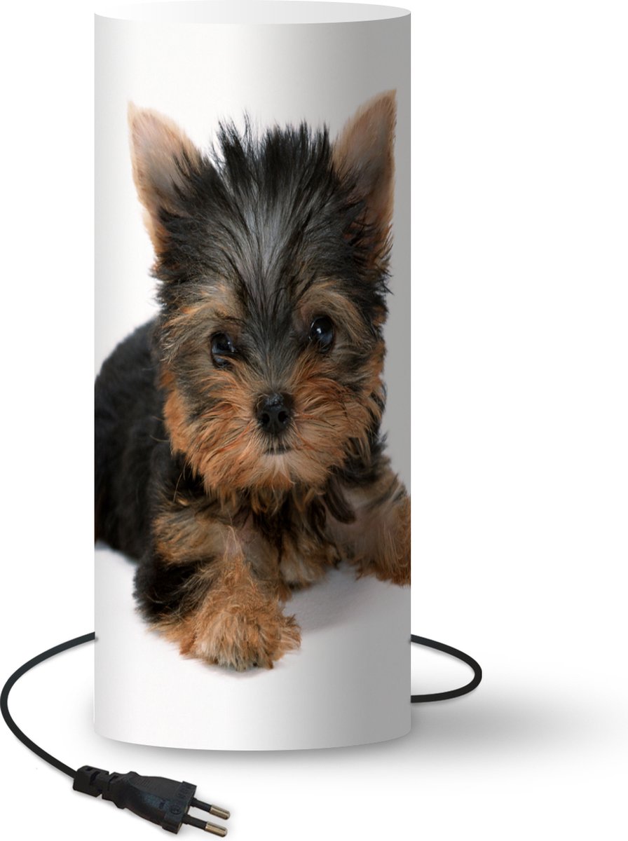 Lampe chiot Yorkshire - Petite lampe yorkshire - 70 cm de haut - Ø30 cm ...
