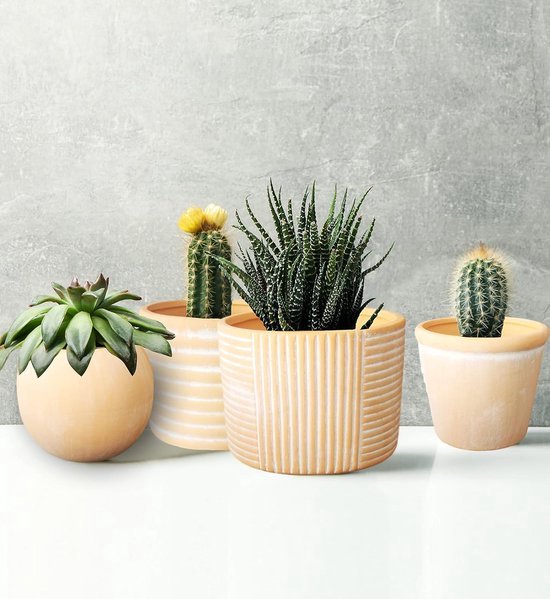 Portofino Terracotta Bloempotten - Set van 4 - Designer Shapes ...