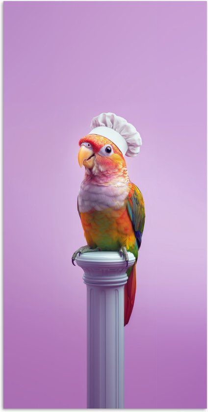 Poster 60x120 cm - Papegaai - Koksmuts - Pilaar - Vogel - Posters ...