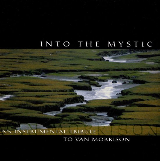 Into The Mystic: An Instrumental Tribute To Van Morrison, various ...