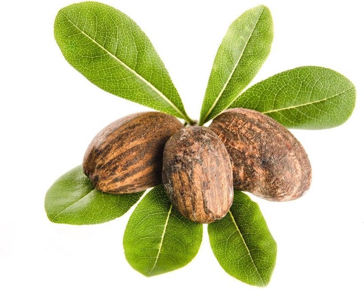 Shea boter 1 kg | bol.com