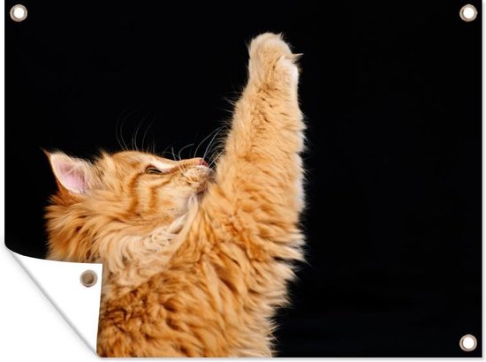 Muurdecoratie buiten Kat met zijn poot omhoog - 160x120 cm | bol.com