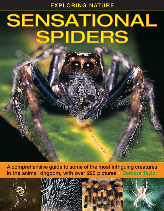Exploring Nature 3 - Sensational Spiders (ebook), Barbara Taylor ...